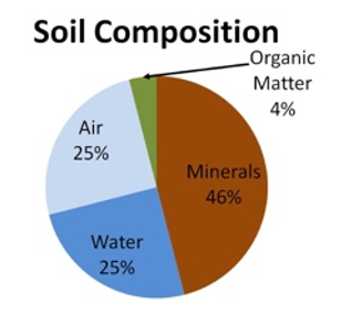 Bexar County Soils