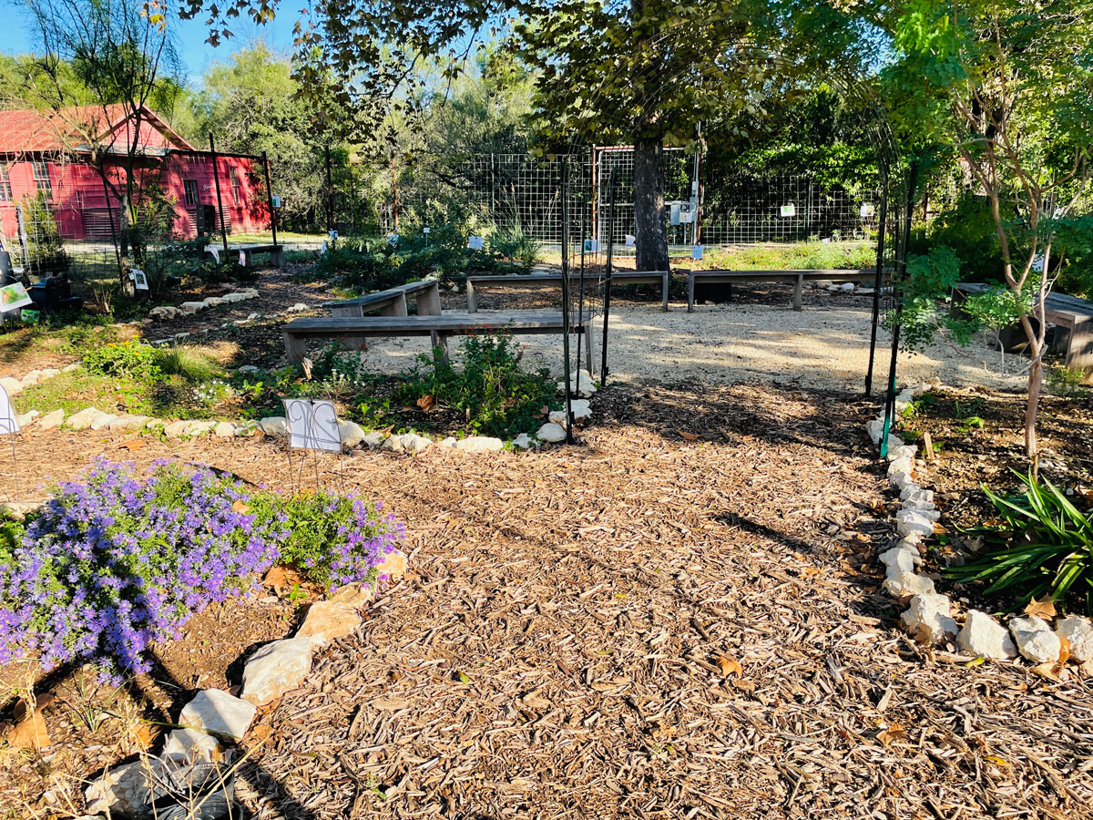 AAMN Chapter Projects