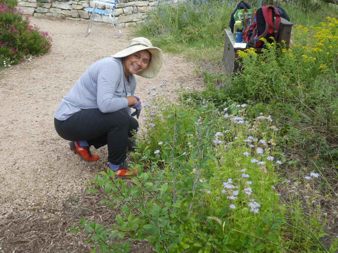 AN UNEXPECTED COMMUNITY, by Texas Master Naturalist Talat Shah