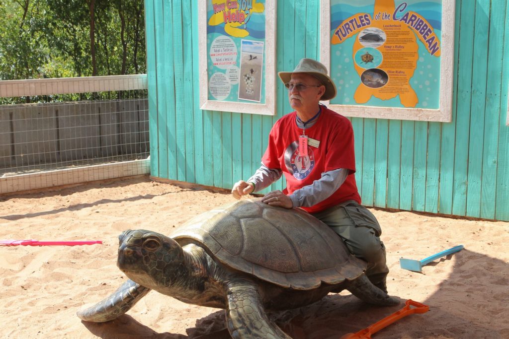 Big Country Chapter – Texas A&M AgriLife Extension Service and Texas ...