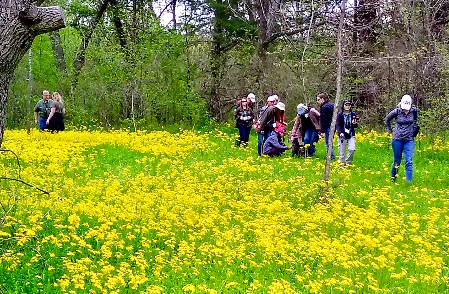 Blackland Prairie Chapter – Blackland Prairie Master Naturalists Texas ...