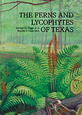2020 September - Dr. George Diggs | Texas Native Plants and Climate ...
