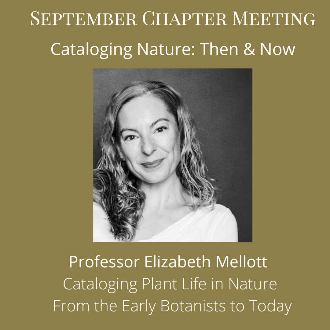 2022 September – Elizabeth Mellot | Cataloging Plant Life in Nature ...