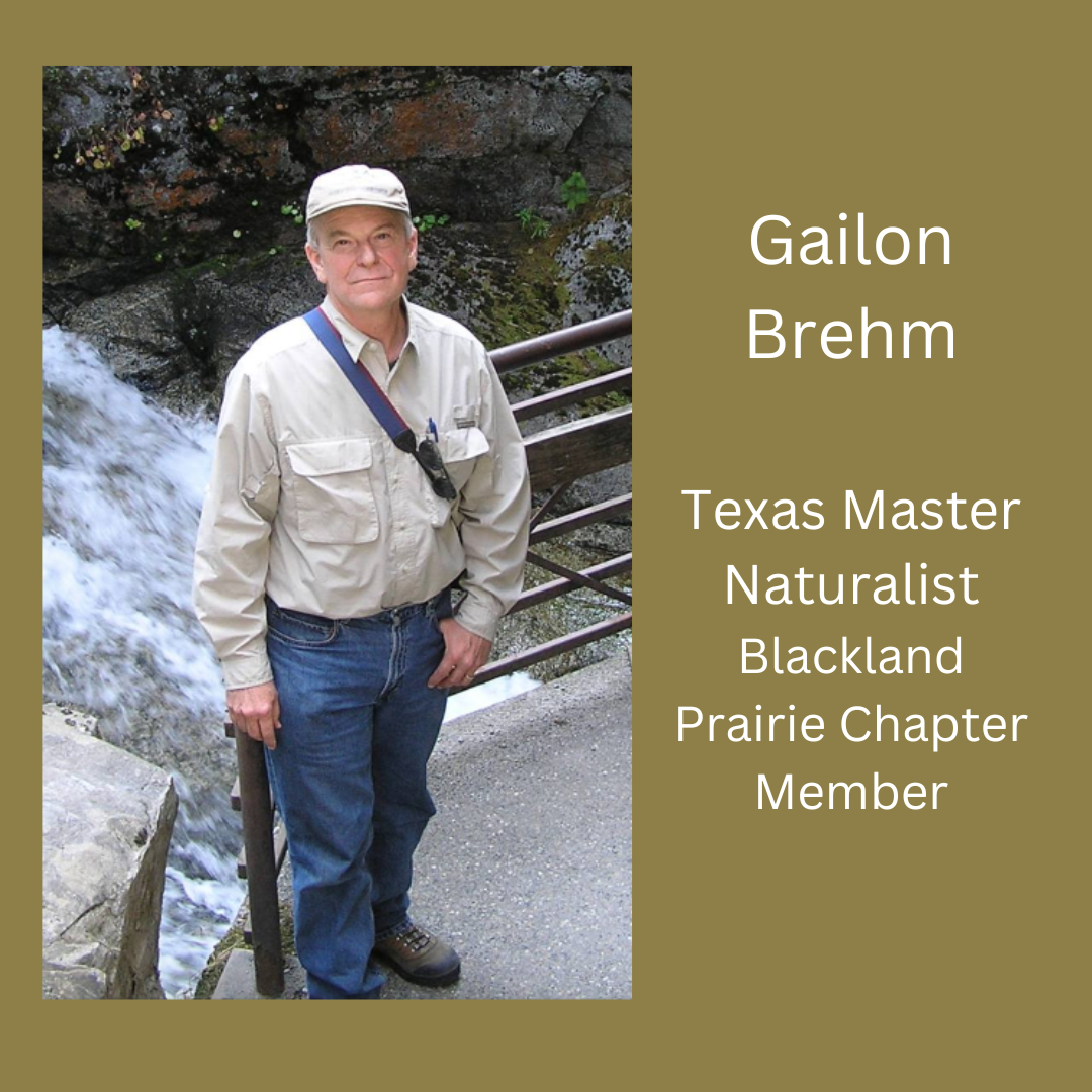 Announcement re the Death of Gailon Brehm
