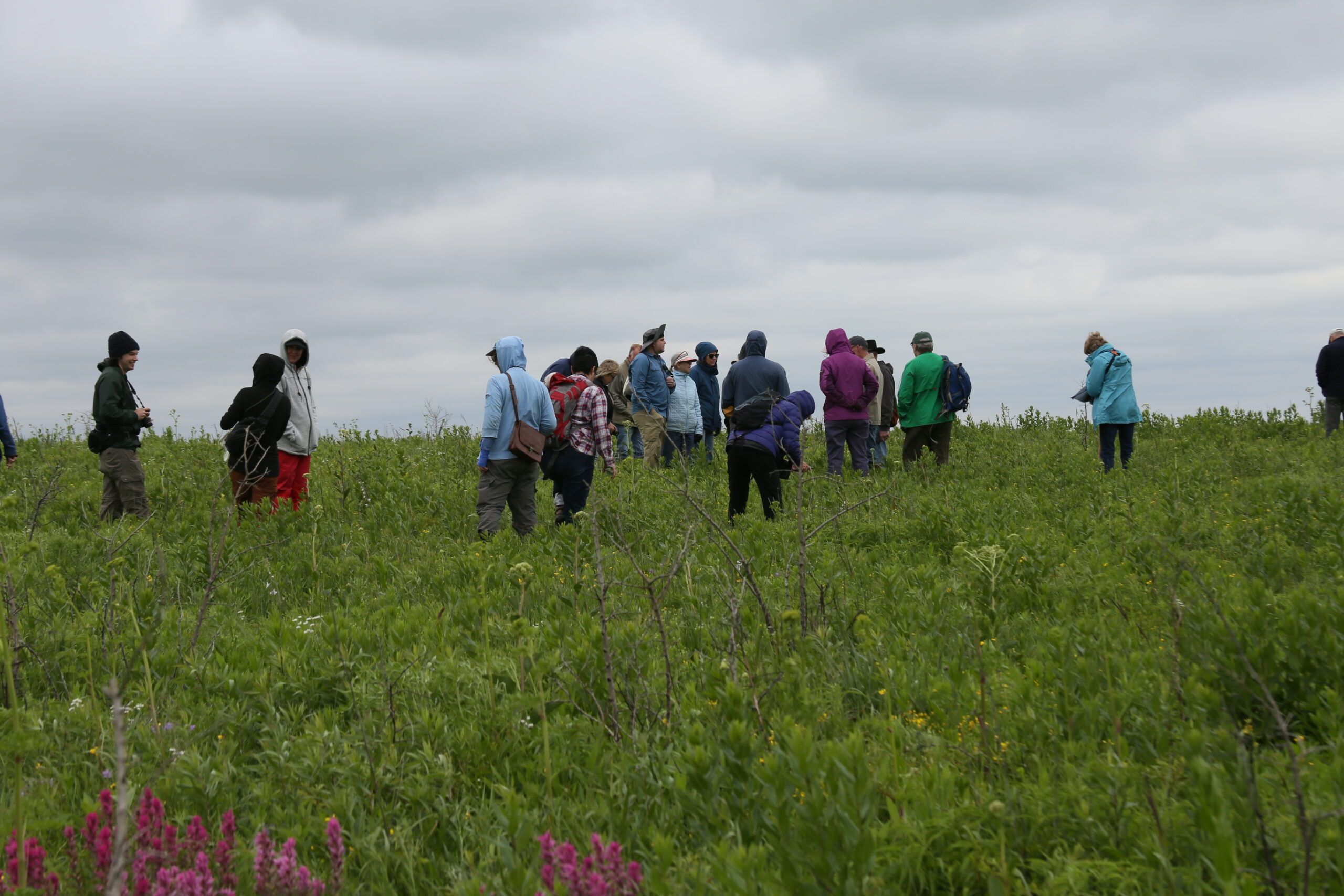 Wild Flower tour of Clymer Meadow with Brandon Belcher - April 29, 2023 ...