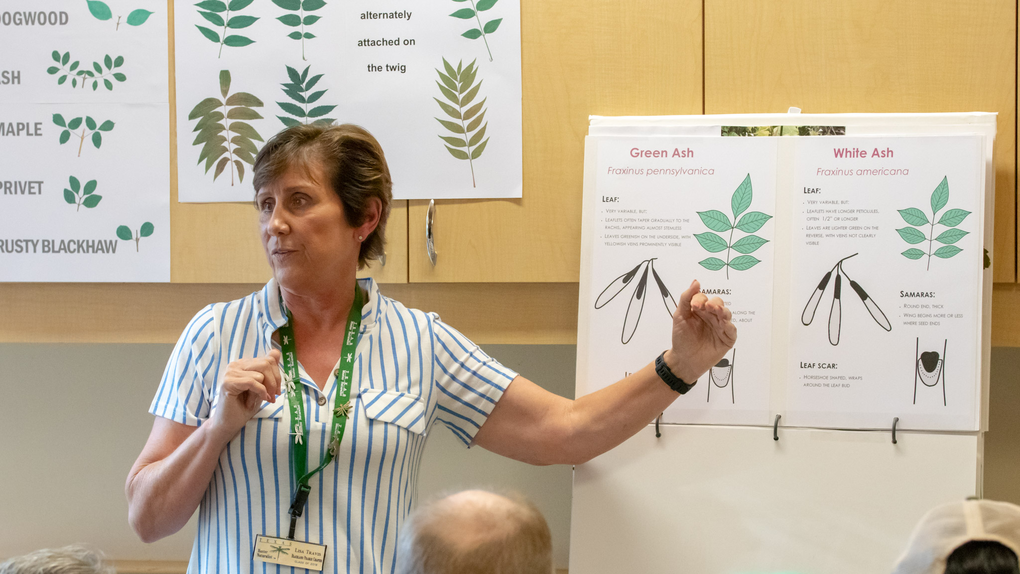 Our Tribe's Fortune - Ruby: 4,000 Hours - Lisa Travis - Blackland ...