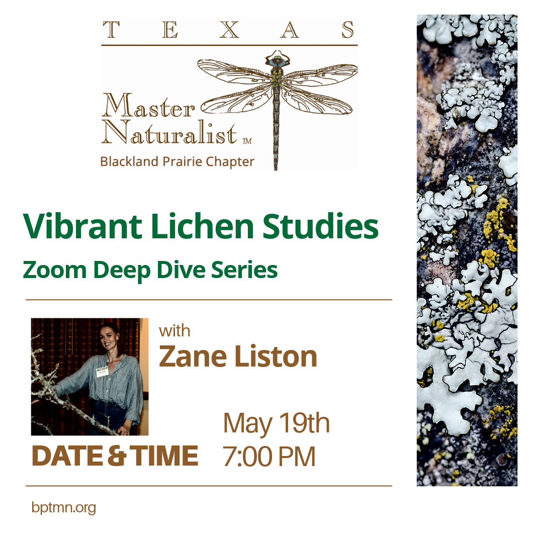 Deep Dive on Vibrant Lichen Studies with Zane Liston
