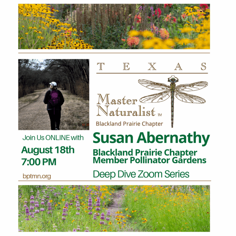 Deep Dive on Blackland Prairie Texas Master Naturalists Pollinator ...