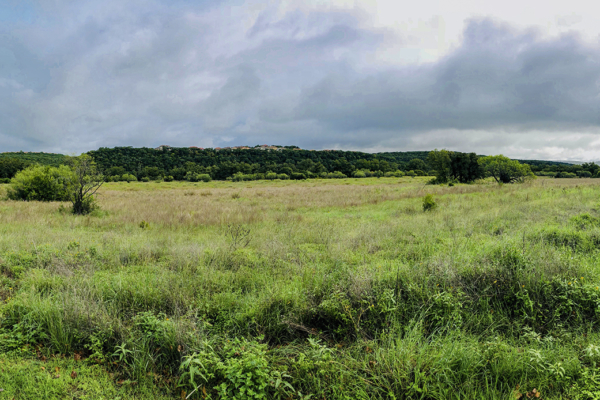 Commons Ford Ranch Metropolitan Park