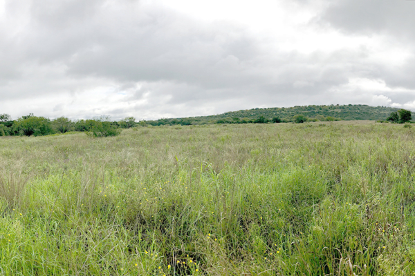 Commons Ford Ranch Metropolitan Park