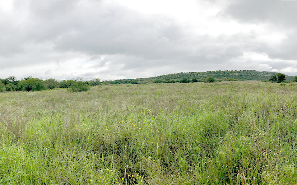 Commons Ford Ranch Metropolitan Park