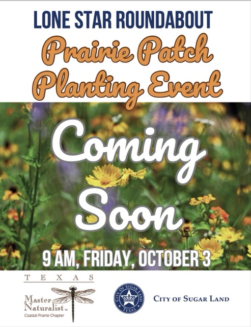 Sugar Land – Lone Star Roundabout Prairie Patch