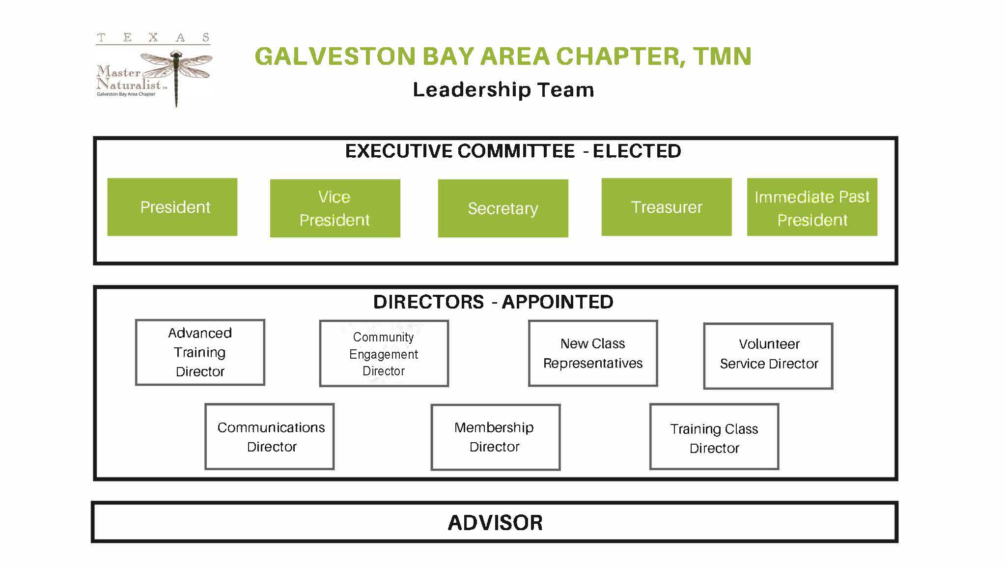 Board of Directors