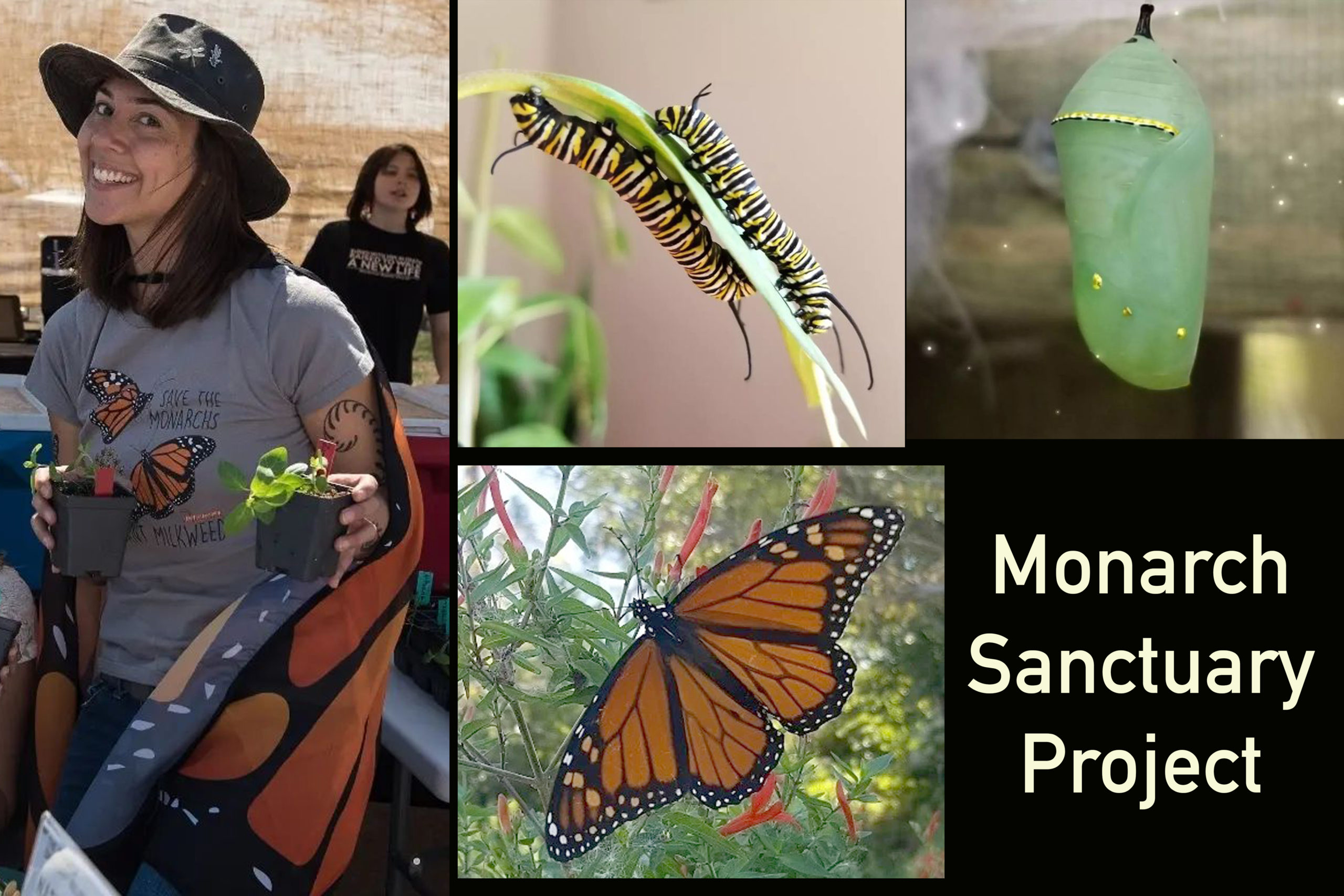 Monarch Sanctuary Project