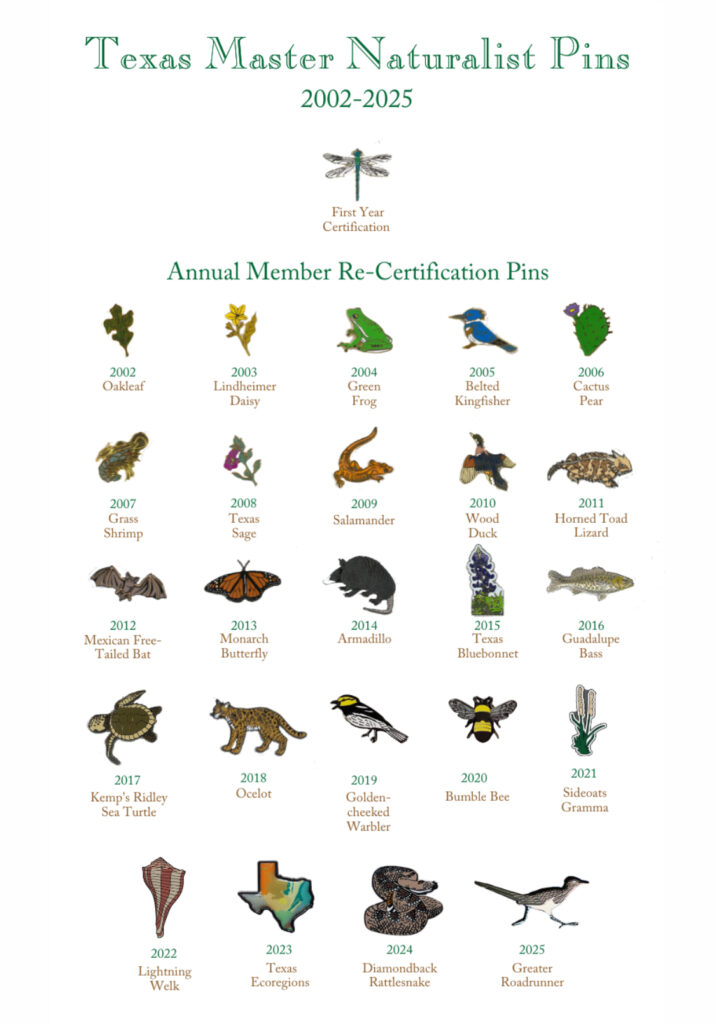 Annual Member Recertification Pins and Milestone Service Pins ...