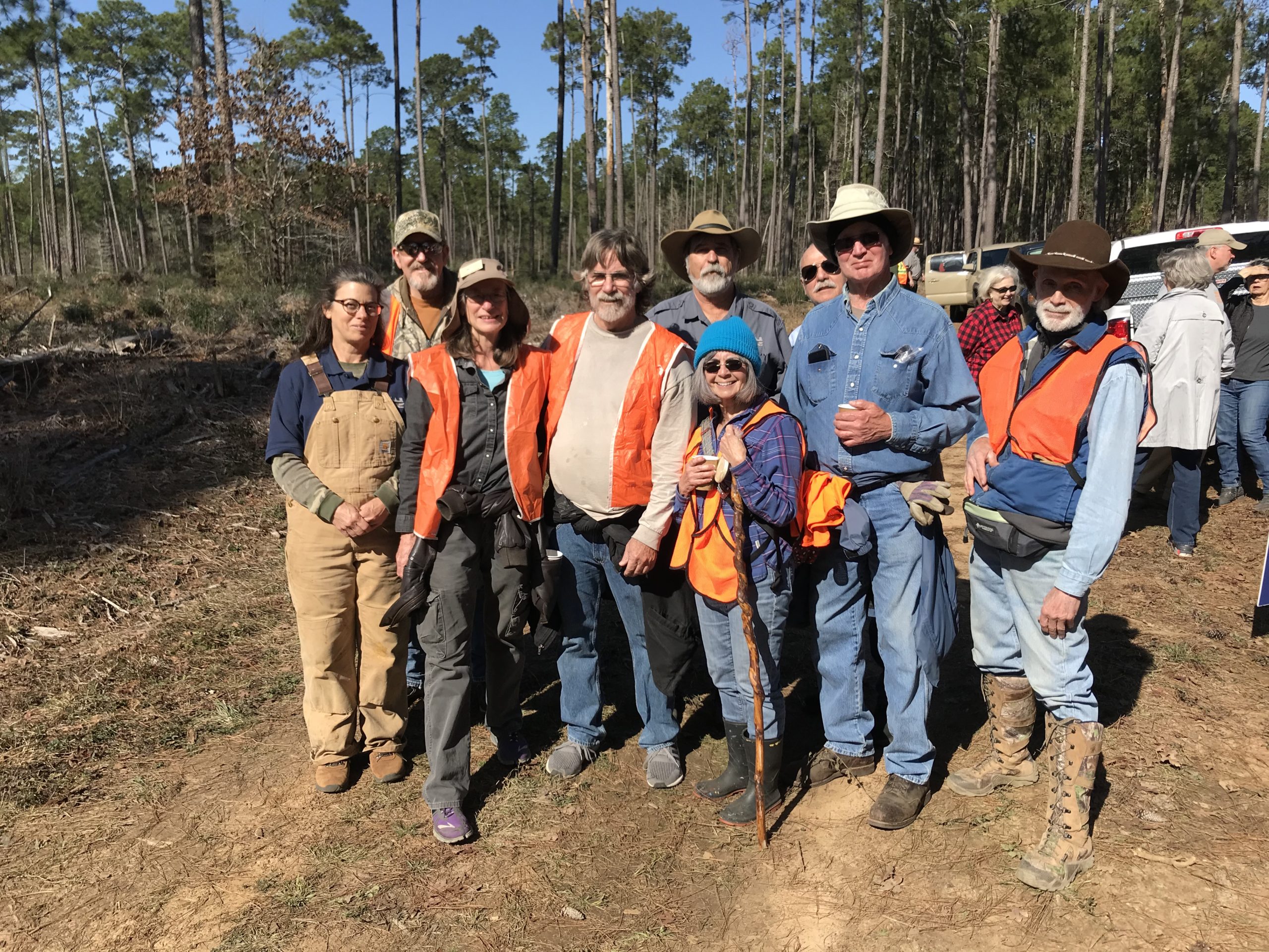 10,000 New Longleaf Pines in the Big Thicket