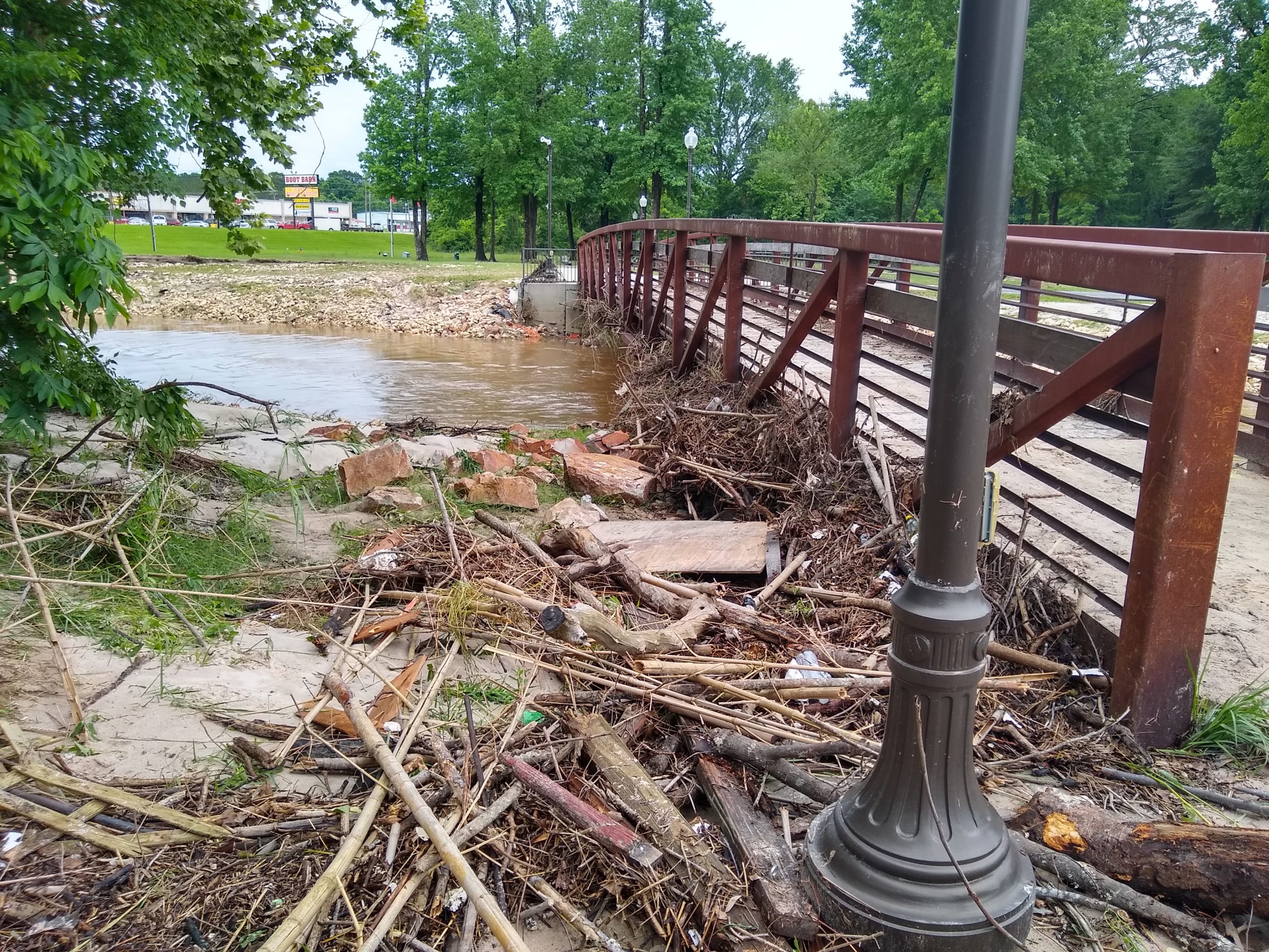 Longleaf Ridge Chapter – The Best Texas Master Naturalist Chapter