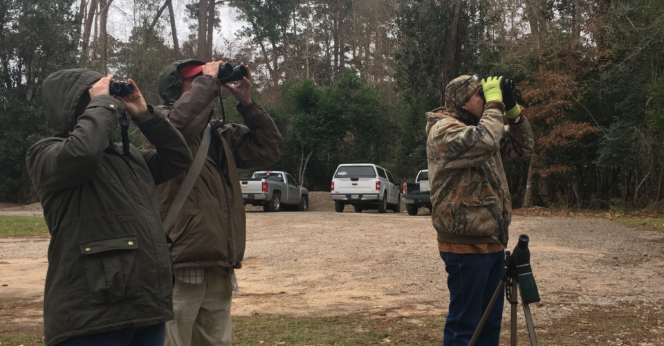 Longleaf Ridge Chapter – The Best Texas Master Naturalist Chapter