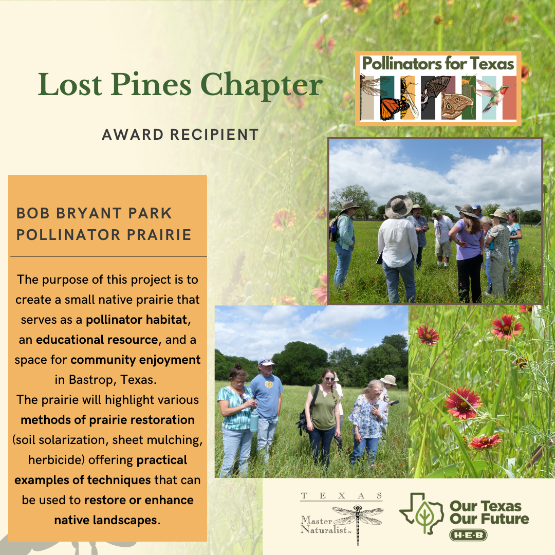 Lost Pines Chapter – Texas Master Naturalist