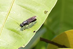 PWLTMN Buzz – Newsletter