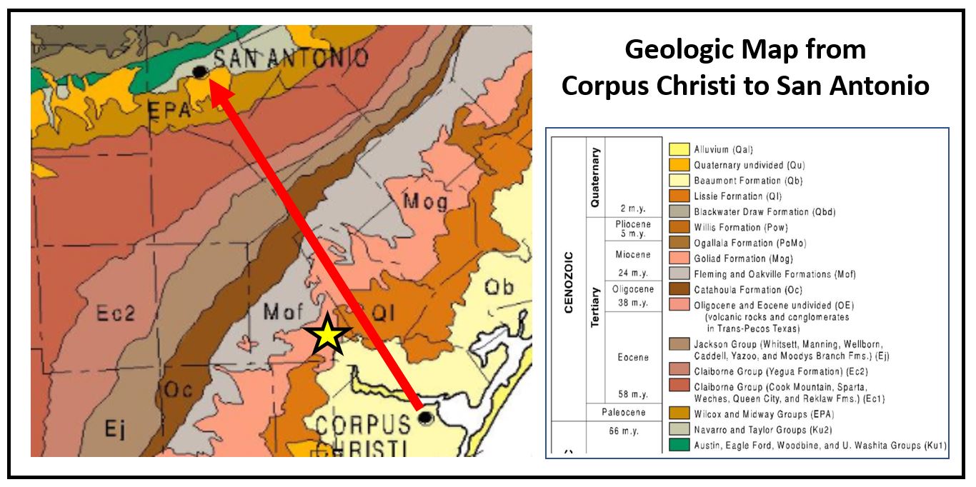The Landscape of Lake Corpus Christi State Park