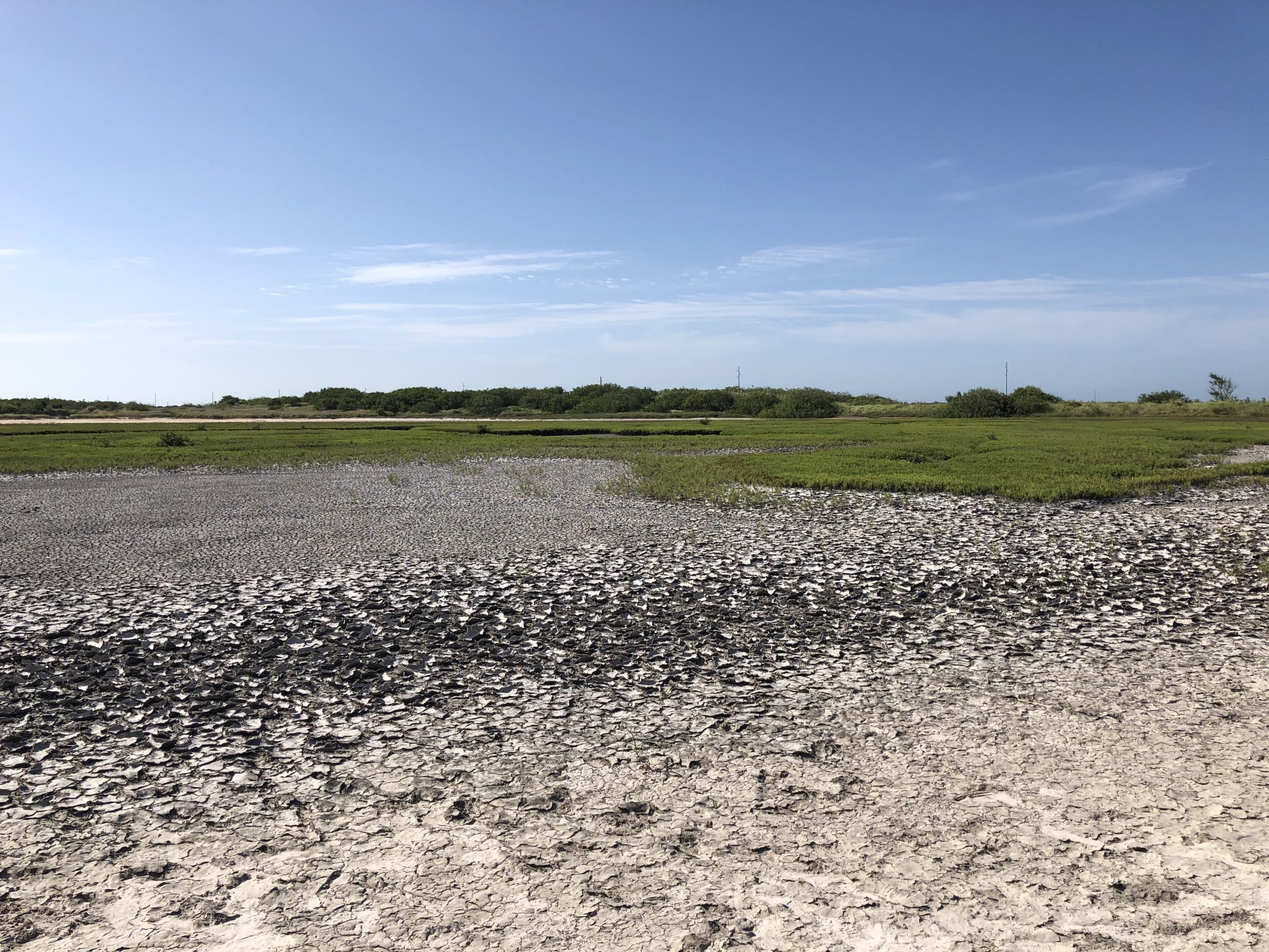 Oso Bay Wetlands Preserve