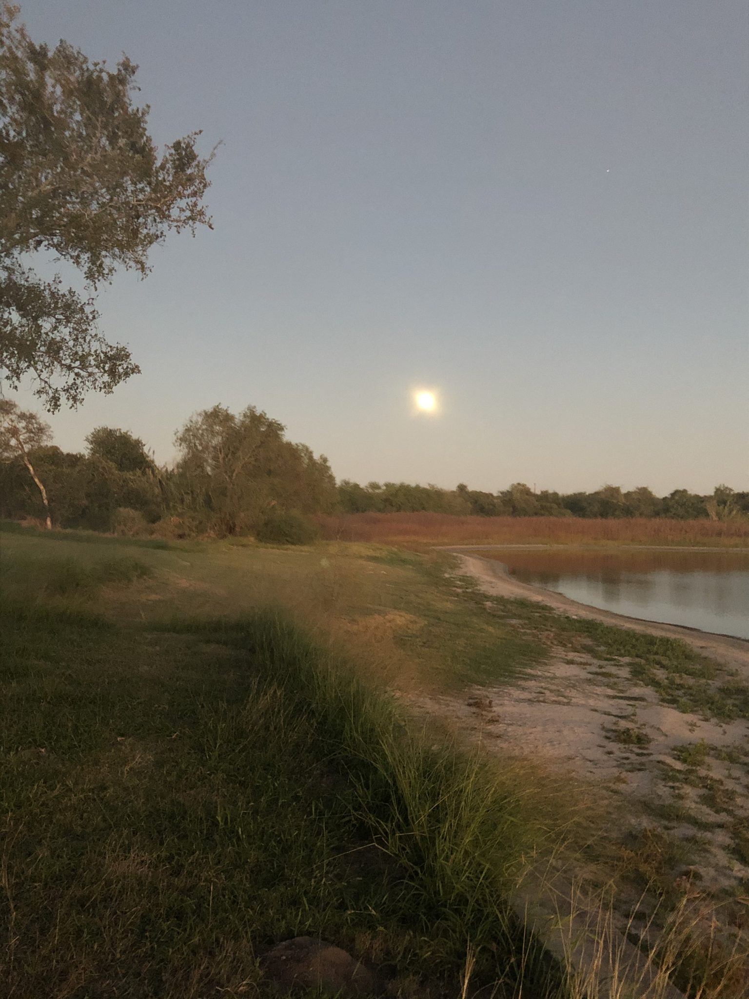 Lake Corpus Christi State Park