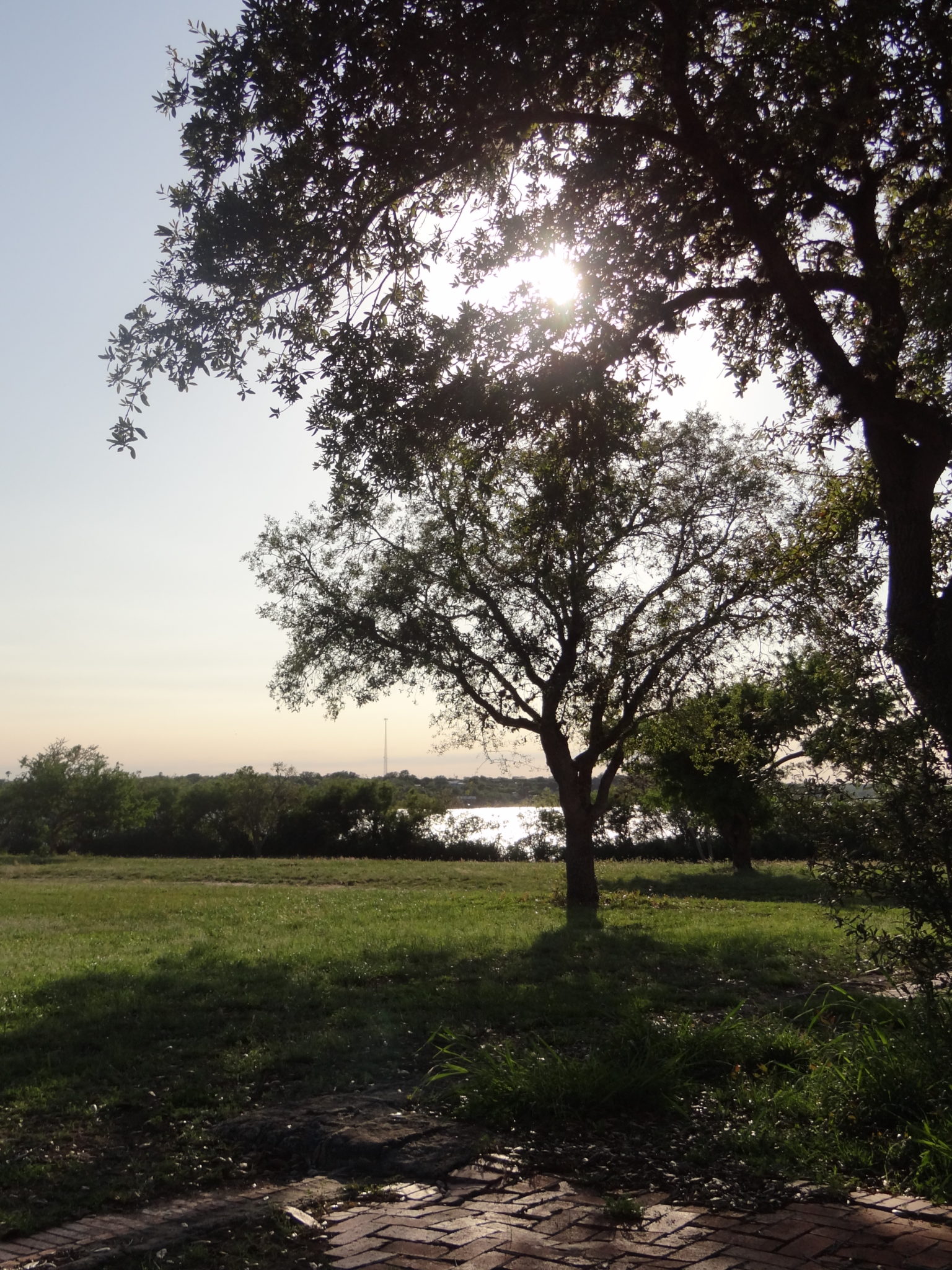 Lake Corpus Christi State Park