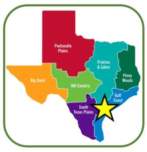 South Texas Chapter – Texas A&M AgriLife Extension Service and Texas ...