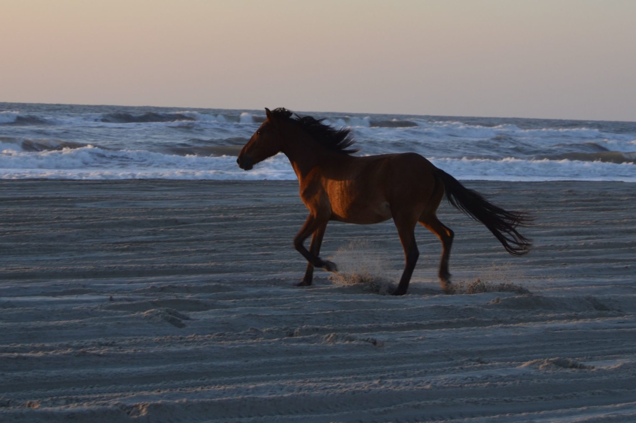 Mustang Island State Park Geocaches