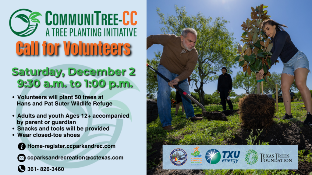 VSP – Turtle Time! @ CC Museum of Science & History